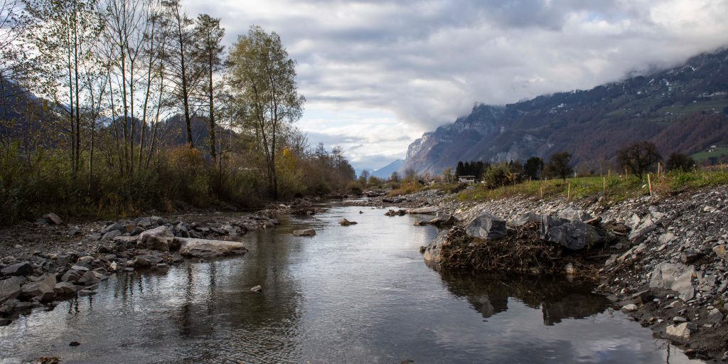 Forellen kehren dank Renaturierung in den Walensee zurück