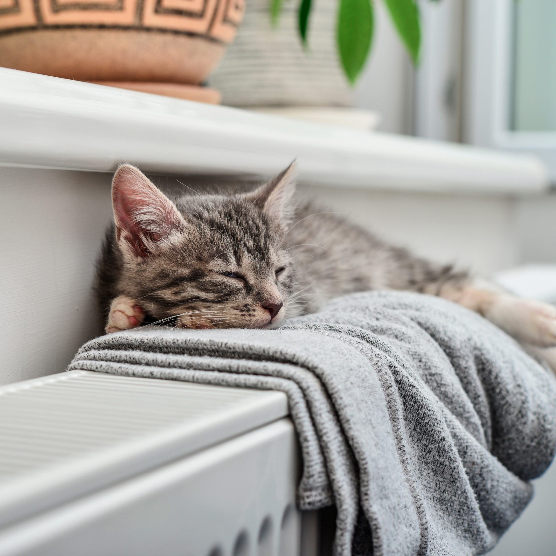 powernewz | Das Magazin für eine nachhaltige Energiezukunft.