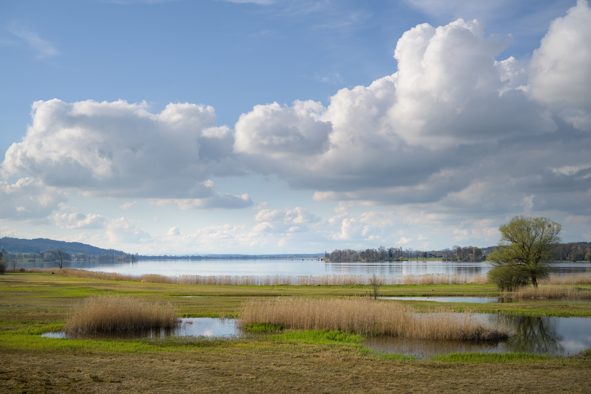 Moore und Moorlandschaften – alles Wissenswerte im Überblick