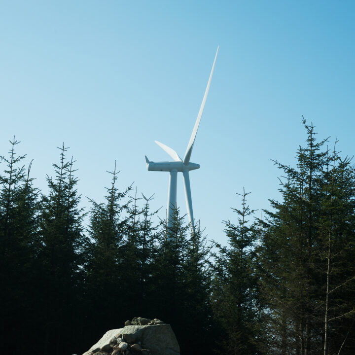 Anergie: Erklärung und Nutzungsmöglichkeiten